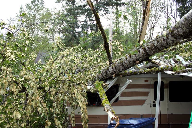 Rv damaged by falling tree stock photo. Image of protect - 14166906