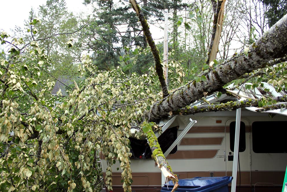 Rv damaged by falling tree stock photo. Image of protect - 14166906