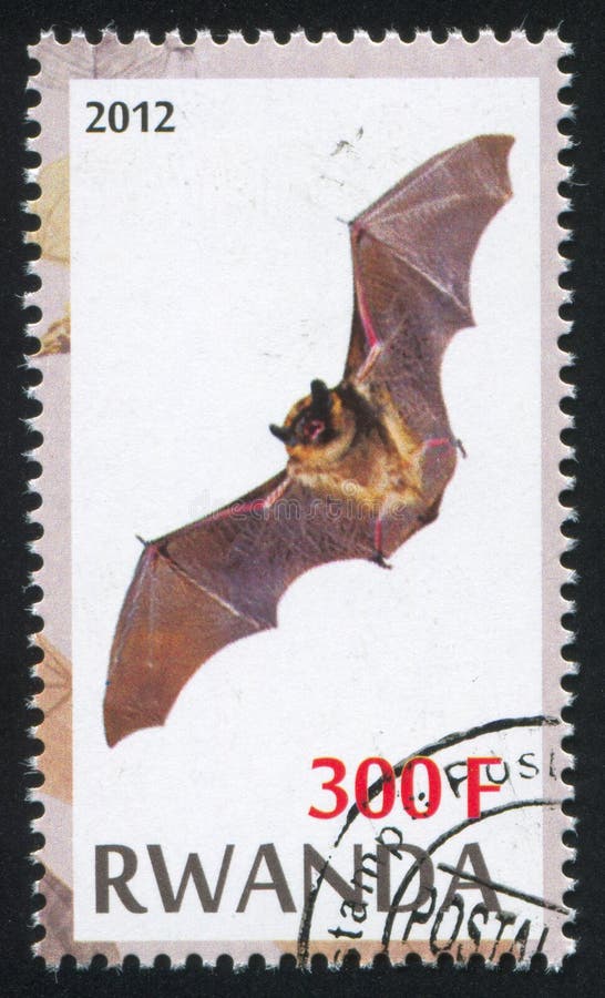 Bat Stamp Printed by Rwanda Editorial Stock Image - Image of biology ...