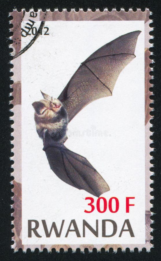 Bat Stamp Printed by Rwanda Editorial Photo - Image of antique ...