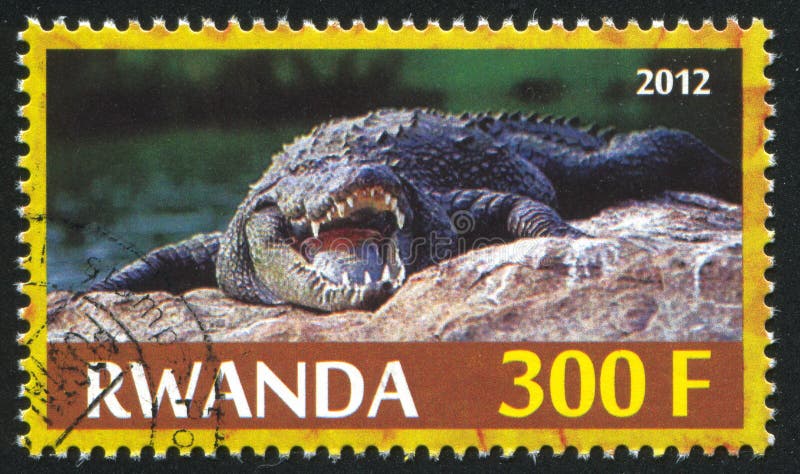 Crocodile editorial photo. Image of postmark, mail, message - 318788036