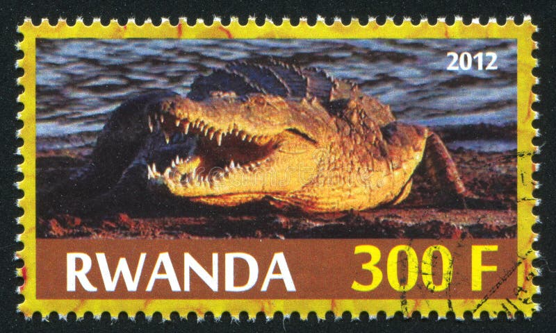 Crocodile editorial photography. Image of habitat, crocodile - 318788087