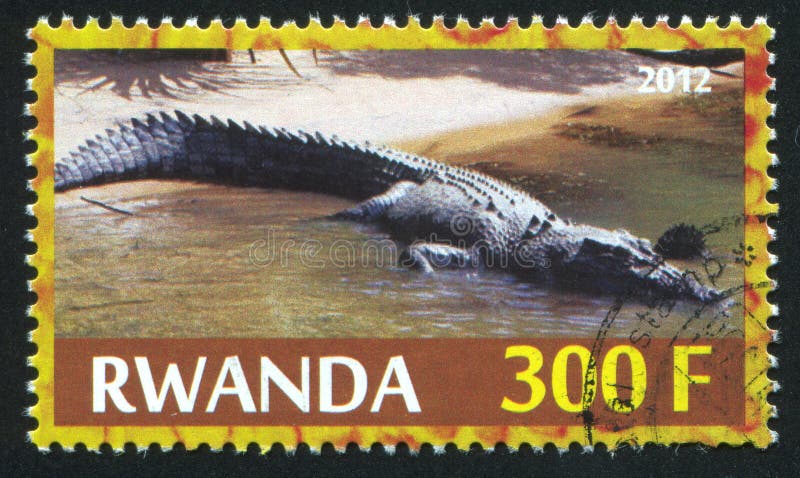 Crocodile editorial stock photo. Image of mail, biology - 318788223