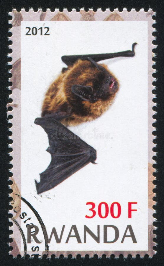 Bat Stamp Printed by Rwanda Editorial Stock Image - Image of nature ...