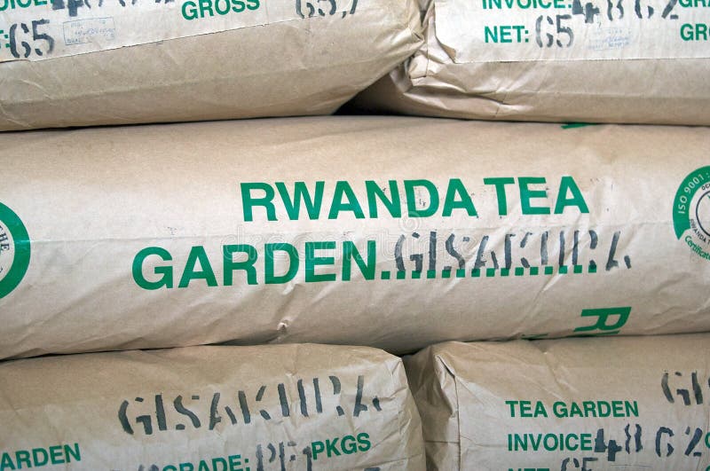 Rwanda tea editorial stock photo. Image of agricolture - 19513098