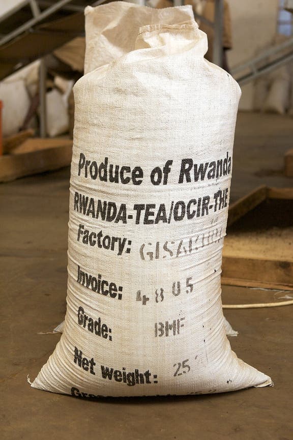 Rwanda tea editorial photo. Image of agricolture, tourism - 20162541