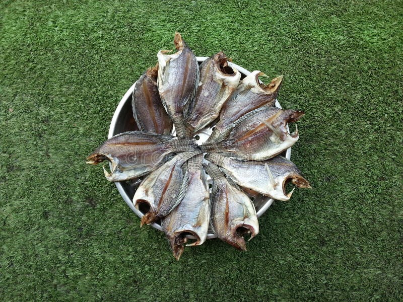 Ryby suszone zdjęcie stock. Obraz złożonej z ładny, pyszny - 46940732