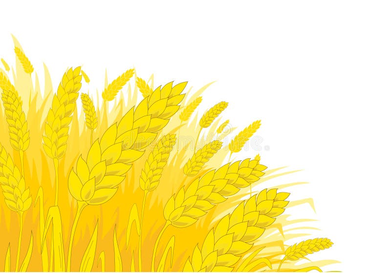 Rye Stock Illustrations – 66,214 Rye Stock Illustrations, Vectors ...