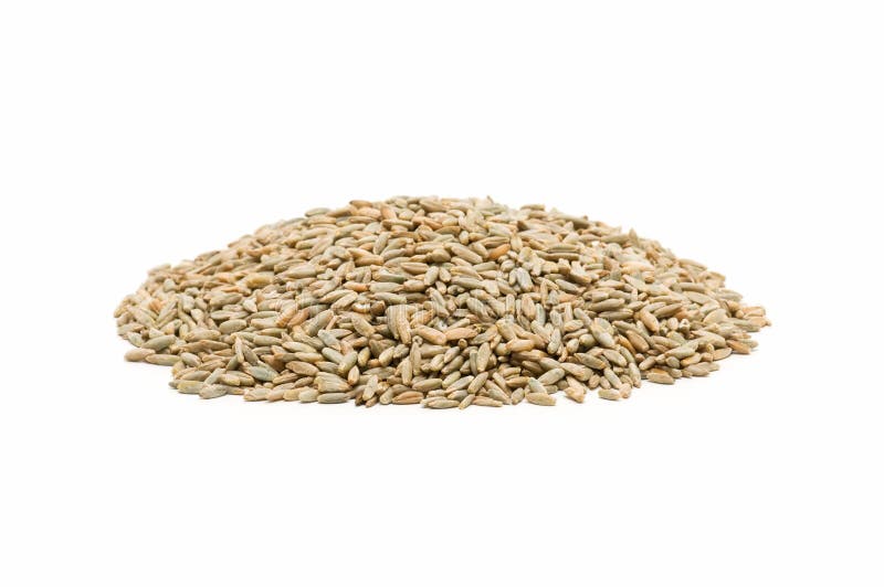 Rye stock image. Image of white, beans, harvest, fiber - 15405307