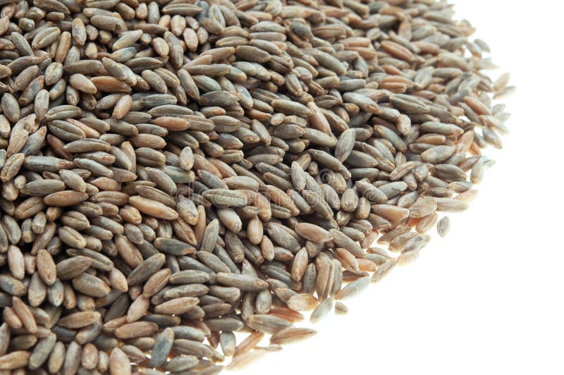 Rye stock photo. Image of eating, healthy, cereal, fiber - 38894630