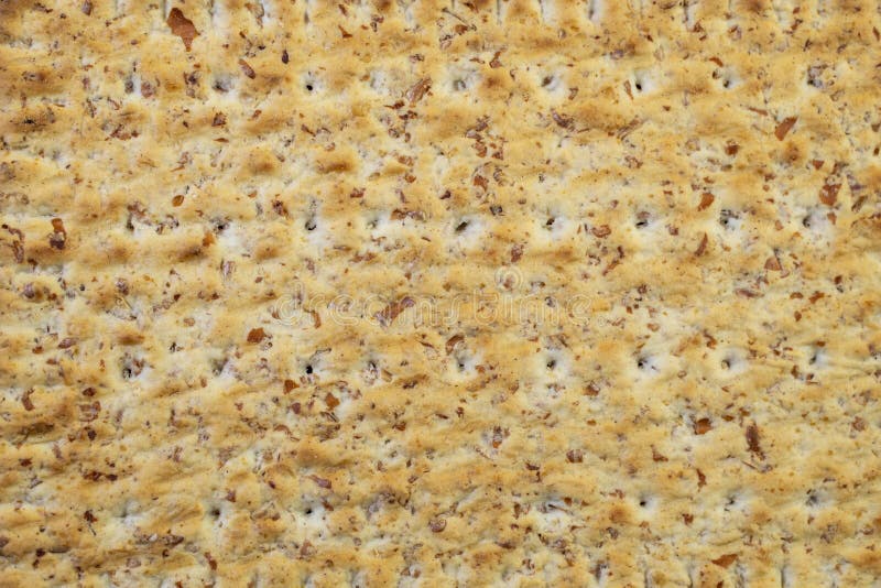 Biscuit Texture stock photo. Image of breakfast, delicious - 27755984