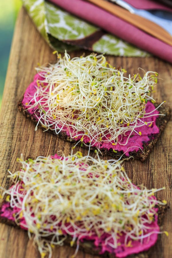 Rye Bread with Sprouts and Beetroot Cream Stock Photo - Image of toast ...