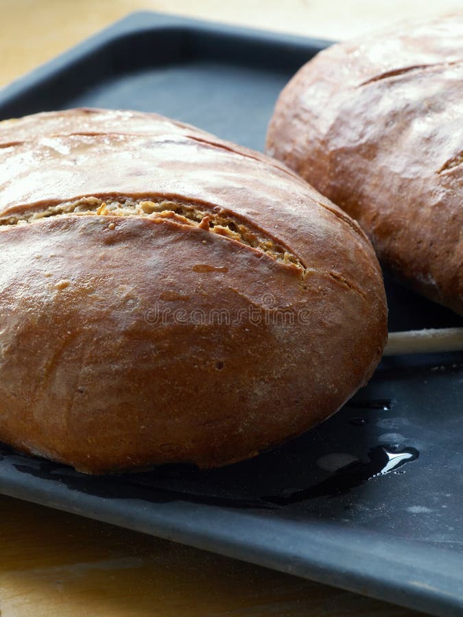 Rye bread stock photo. Image of european, bakery, pastry - 71584434