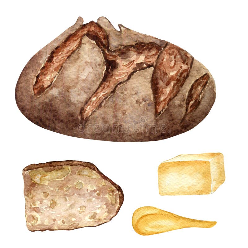 Rye Bread Whole and Slice Watercolor Illustration Isolated on White ...