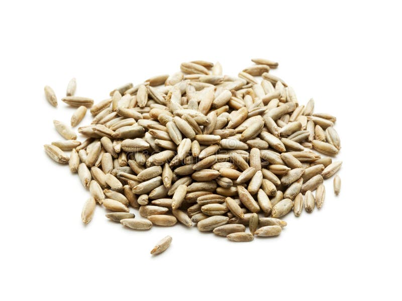 Rye grain isolated stock photo. Image of agriculture - 21146108