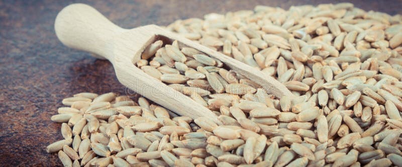 Rye Grain on Old Rustic Background. Agriculture Concept Stock Photo ...