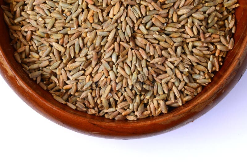Rye grain seeds stock photo. Image of heap, cooking, natural - 68470574