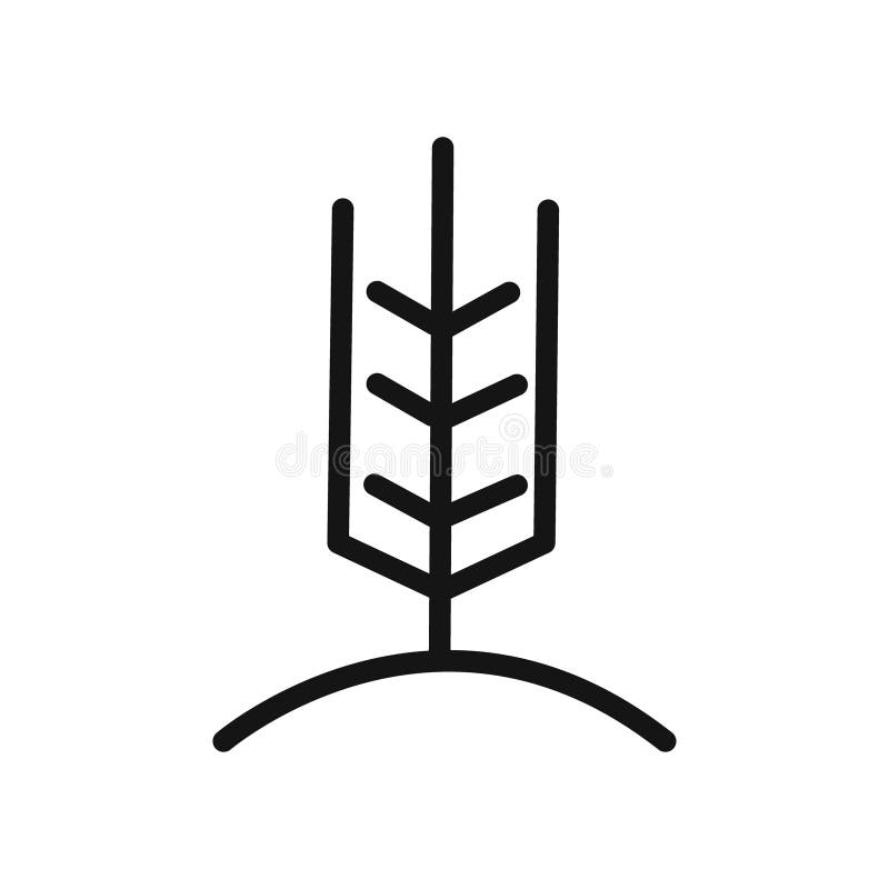 Rye Icon Linear Graphics Set Vector Stock Vector - Illustration of gold ...