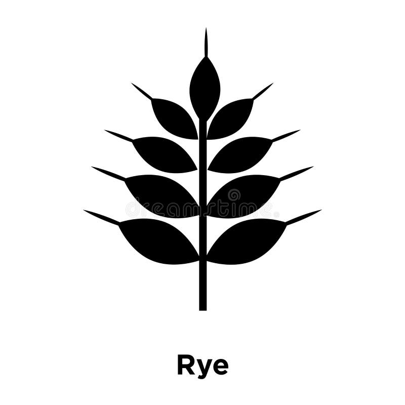 Grain Icon Vector Sign and Symbol Isolated on White Background, Grain ...