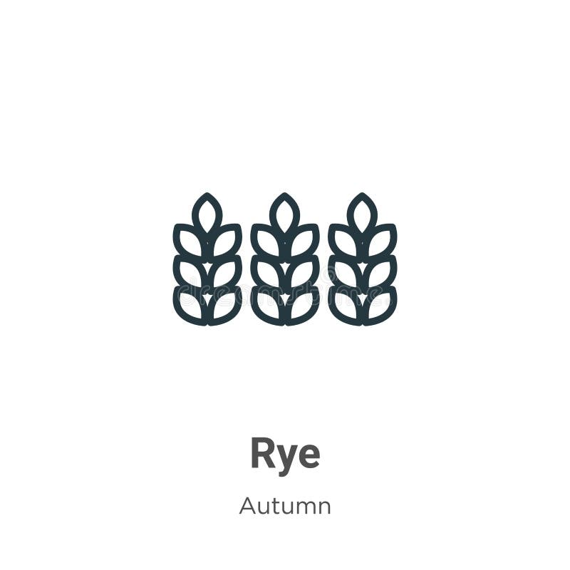 Rye Outline Vector Icon. Thin Line Black Rye Icon, Flat Vector Simple ...