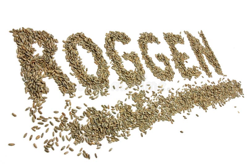 Rye stock photo. Image of agriculture, food, harvest - 68841212