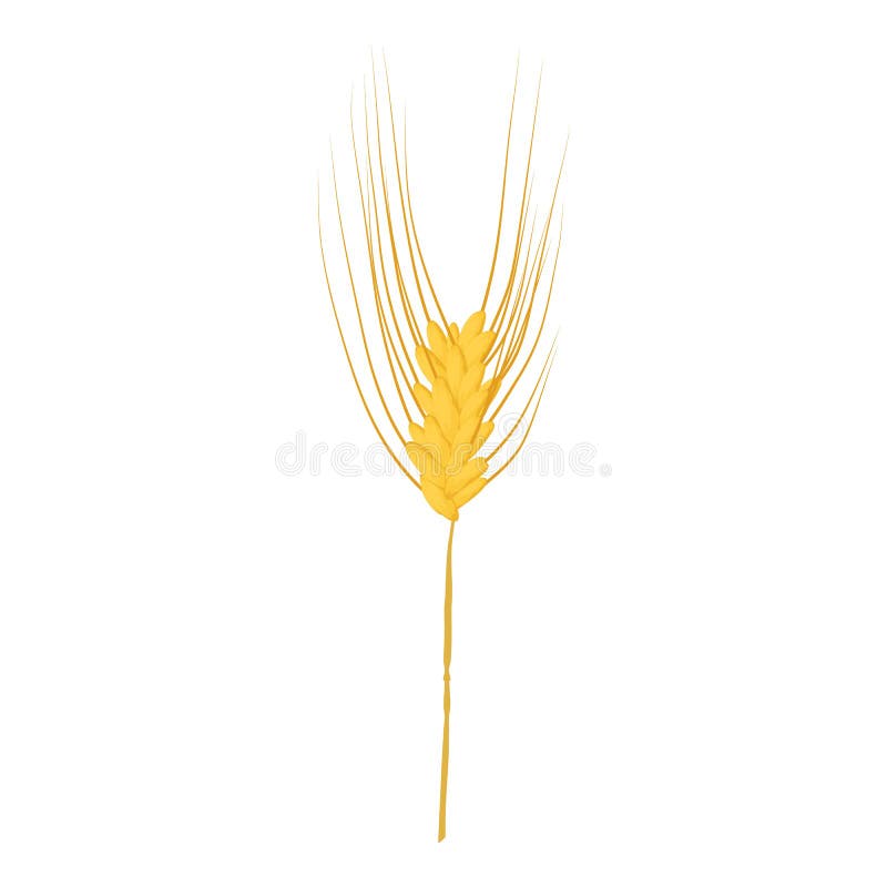 Rye Stalk Icon, Cartoon Style Stock Vector - Illustration of cartoon ...