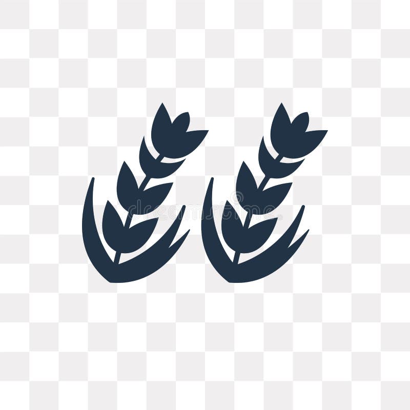 Rye Vector Icon Isolated on Transparent Background, Rye Transpa Stock ...