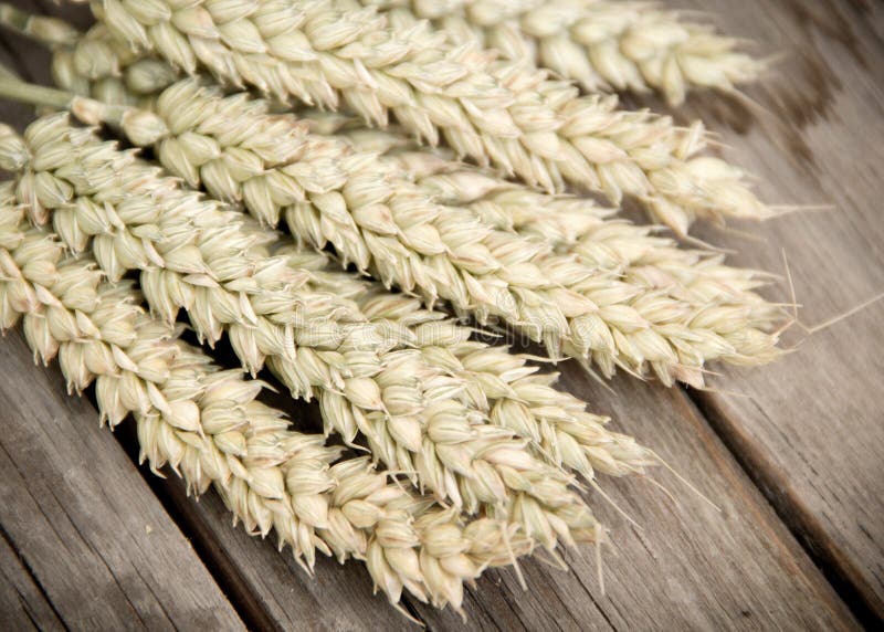 Rye on the wood stock photo. Image of abstract, farm - 40782204