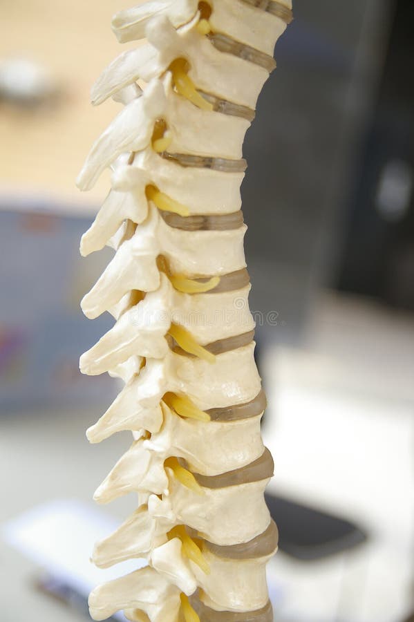 Rygg fotografering för bildbyråer. Bild av kolonn, utrustning - 1352085