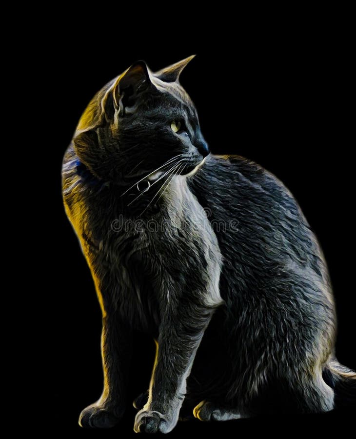 Rysk Blå Katt Med Kort Hår Och Stora Gula ögon Tecknad ...