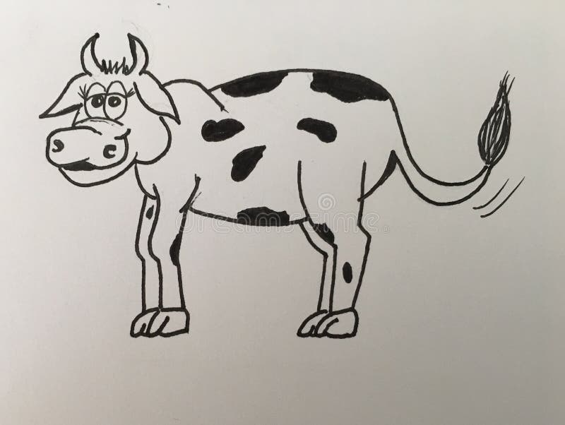 1,360 Krowa Rysunek Zdjęcia - Bezpłatne i z licenncją Royalty-Free ...