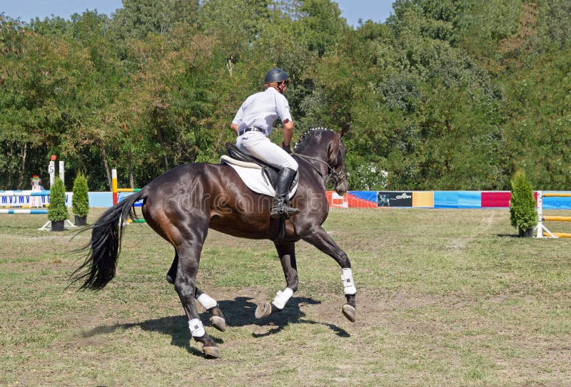 Ryttare. redaktionell arkivfoto. Bild av förband, person - 36030298