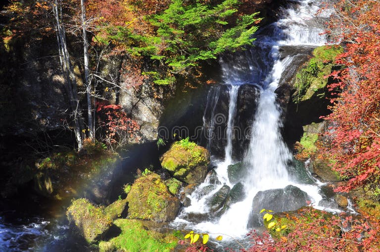 5,310 Picture Dragon Connelly Stock Photos - Free & Royalty-Free Stock ...