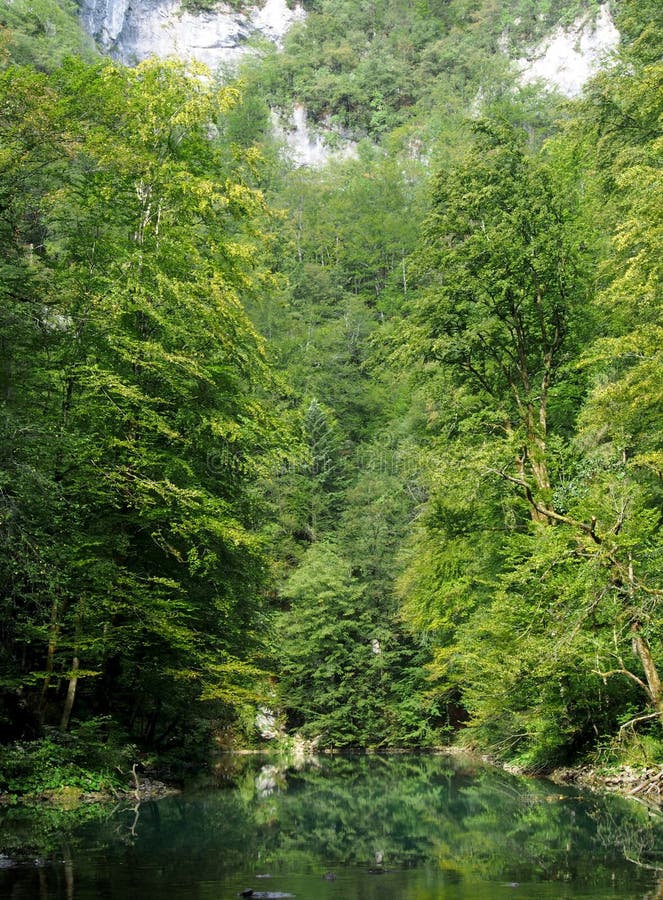 Źródło rzeki Kupa zdjęcie stock. Obraz złożonej z słońce - 33645994