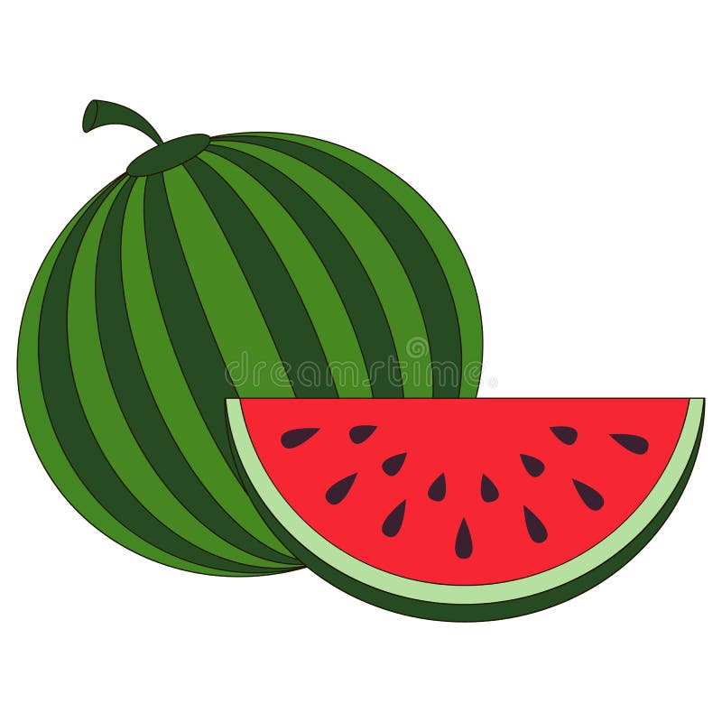Wassermelonen-Zeichentrickkonzept Vektor Abbildung - Illustration von ...