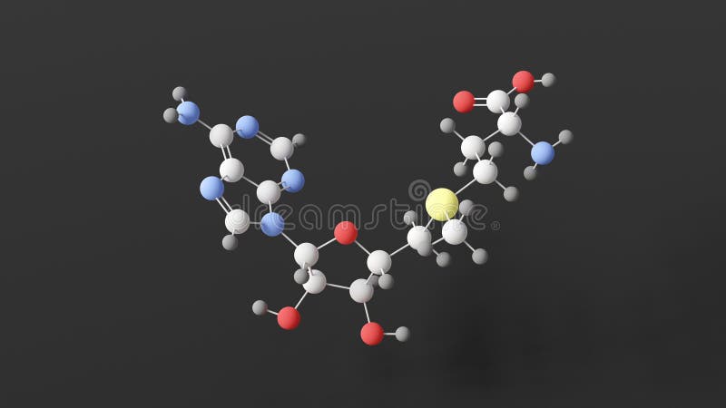 Methionine Molecule, Molecular Structure, Proteinogenic Amino Acids ...