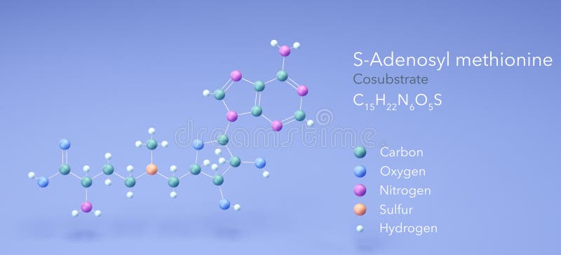 S-adenosyl Methionine Molecule, Molecular Structures, Cosubstrate, 3d ...