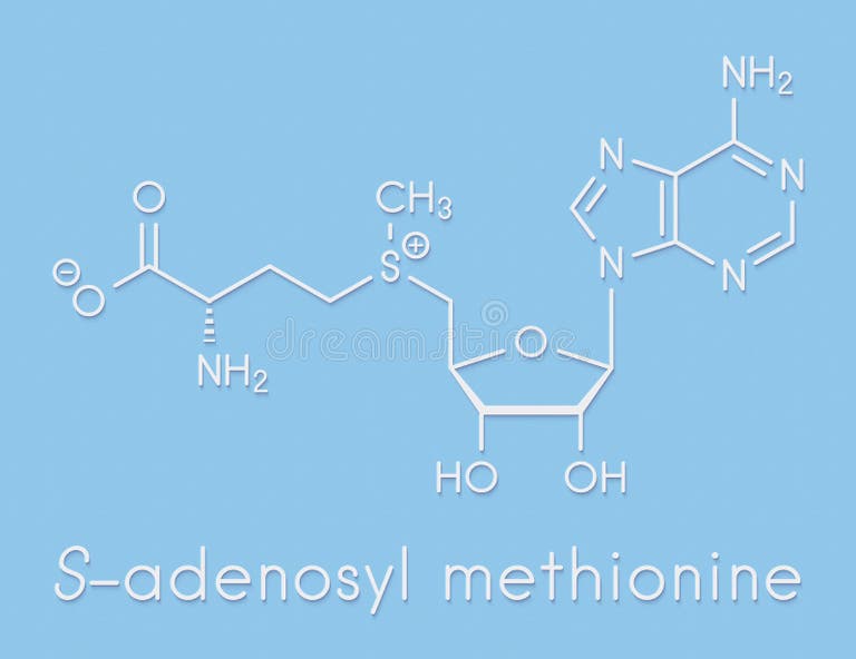 Adenosyl Methionine Molecule Stock Illustrations – 23 Adenosyl ...