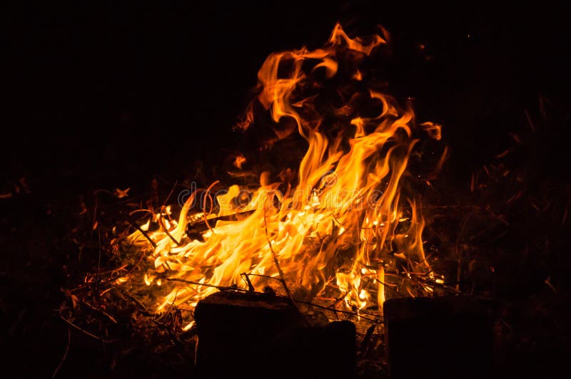 S Bonfire in the Nature. Bright Fire and Flame Tails. Stock Photo ...