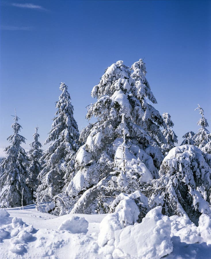 Cold Here Inscription on Ice Stock Image - Image of natural, frozen ...