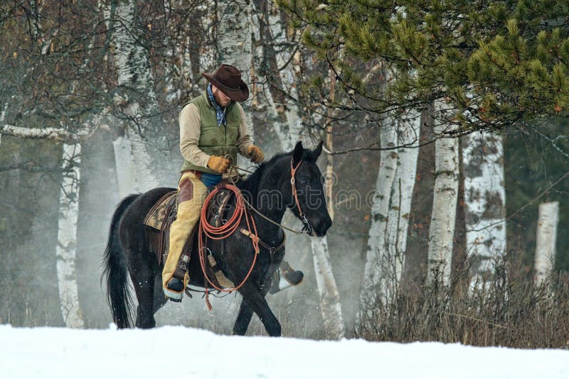 Cowboy on cold fuel chaps stock image. Image of equestrian - 158442229