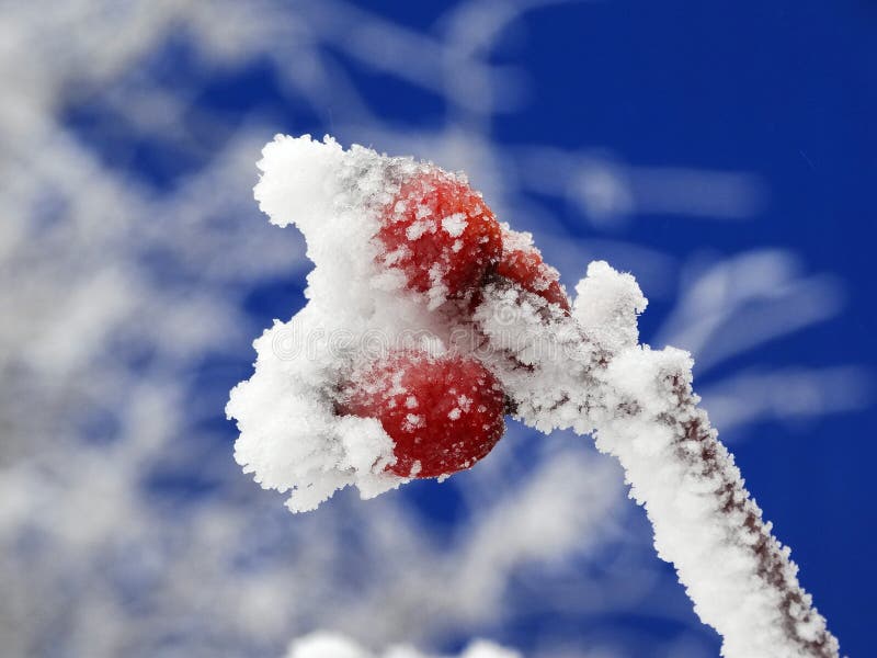 It`s freezing outside stock photo. Image of outside - 135004382