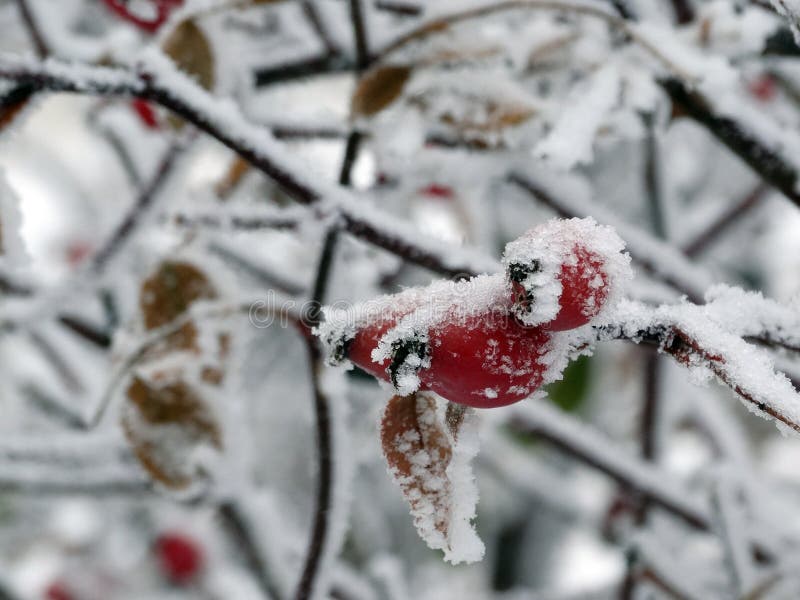 It`s freezing outside stock photo. Image of outside - 135004476