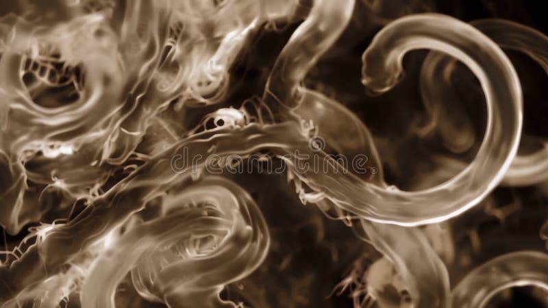 The S Magnified To Microscopic Size Appear As Curly Translucent Strands ...