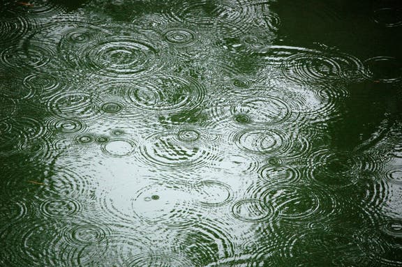 It s raining stock image. Image of drops, storm, fresh - 5644875
