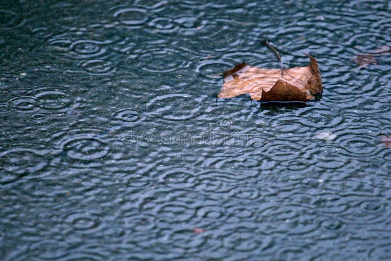 It s raining again stock photo. Image of brown, raining - 22954996