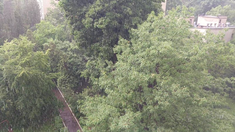 It S Raining in the City Top View Stock Video - Video of road, outdoor ...