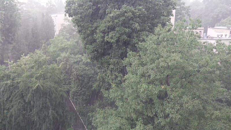 It S Raining in the City Top View Stock Video - Video of white, aerial ...