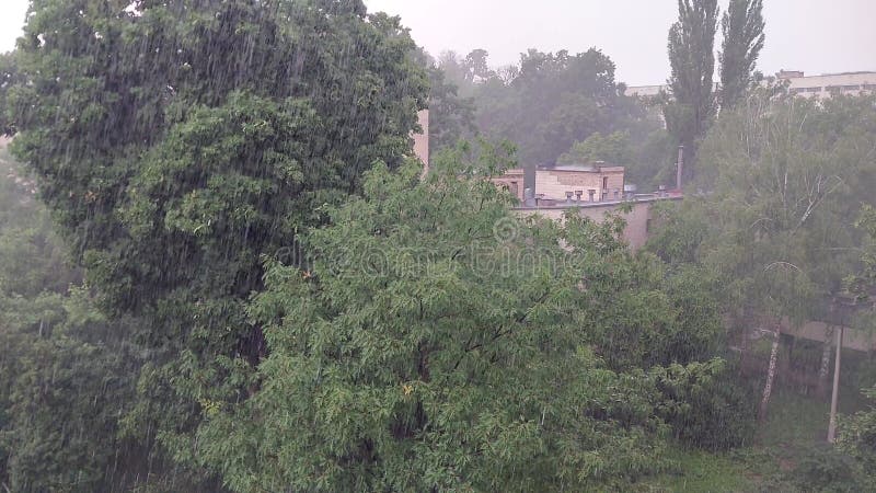 It S Raining in the City Top View Stock Footage - Video of natural ...