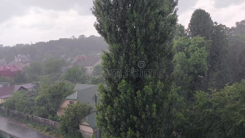 It S Raining in the City Top View Stock Footage - Video of river ...